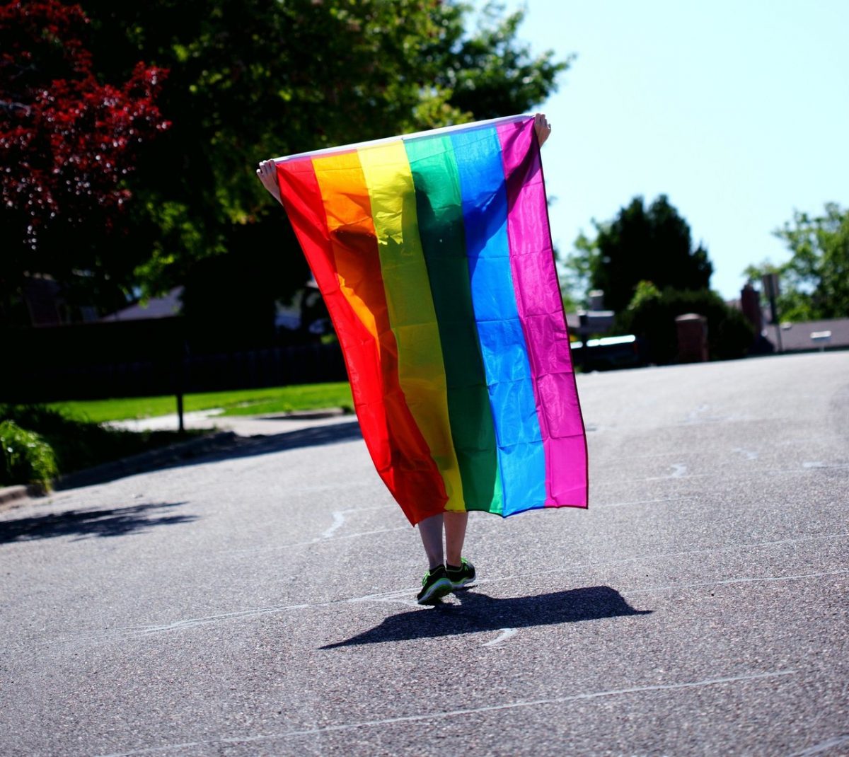 Broad Support for LGBT Rights Across all 50 States: Findings from the ...